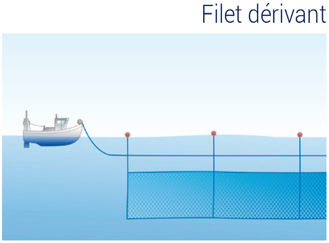 Les engins de pêche passifs | Guide des espèces